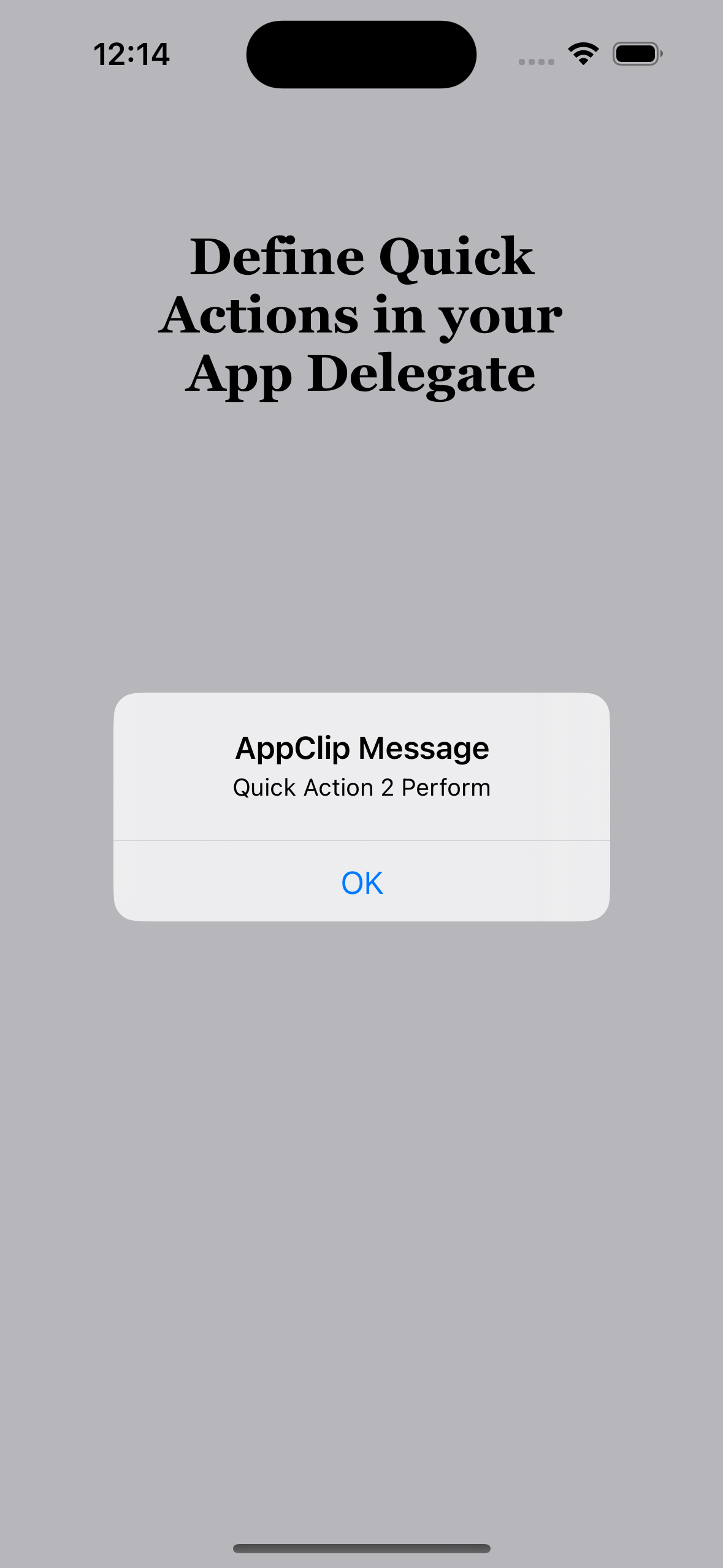 Step By Step Guide To Define Quick Actions In Your Ios App Web Development Software And App